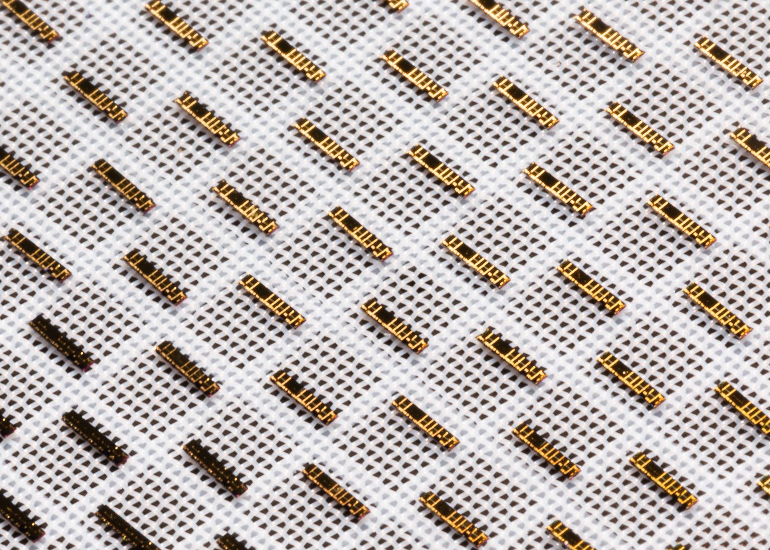 Optical Frequency Comb Tunable Laser